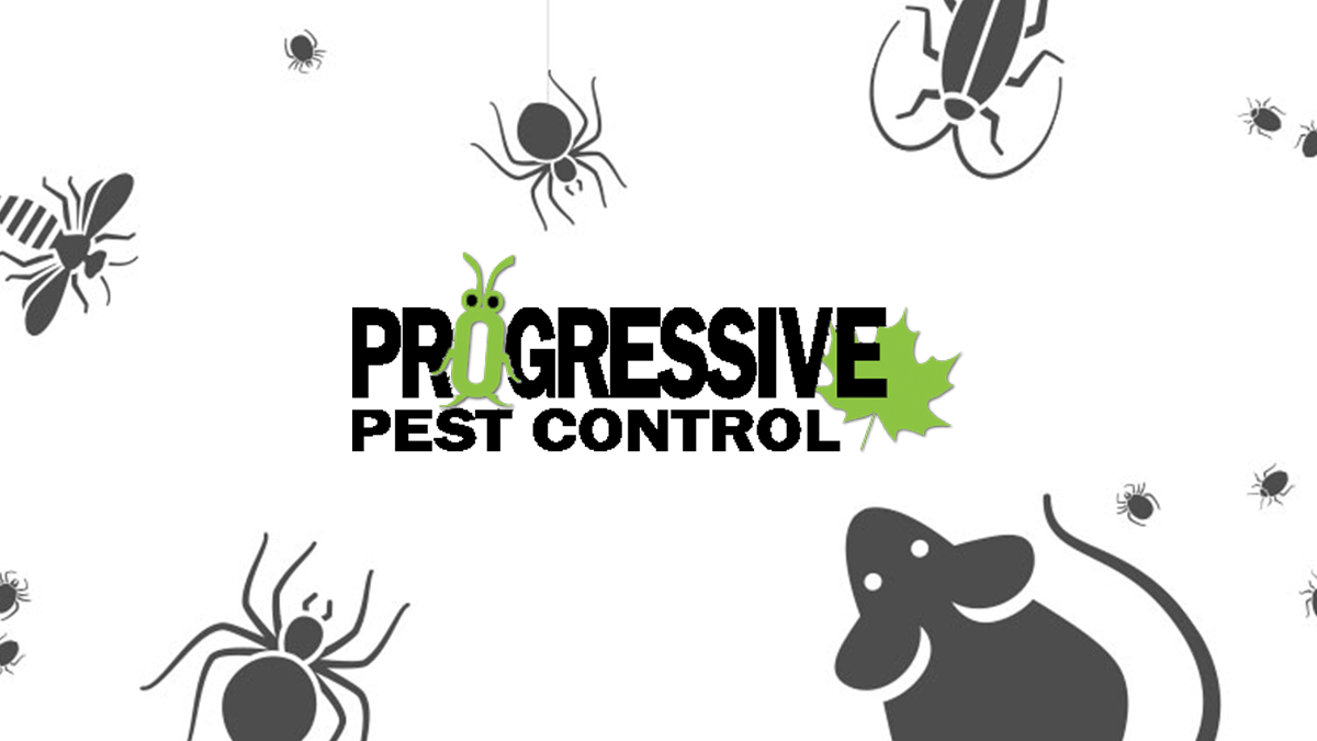 Progressive Pest Control - Environmentally responsible pest control
